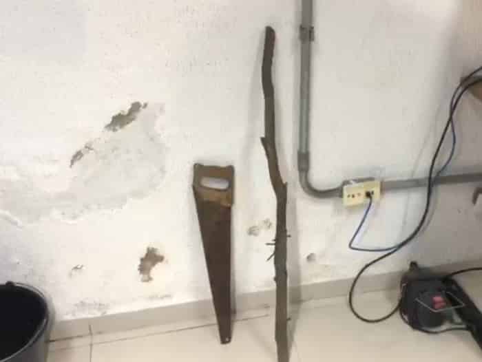 Madrasta é Suspeita De Usar Serrote E Madeira Com Pregos Para Espancar